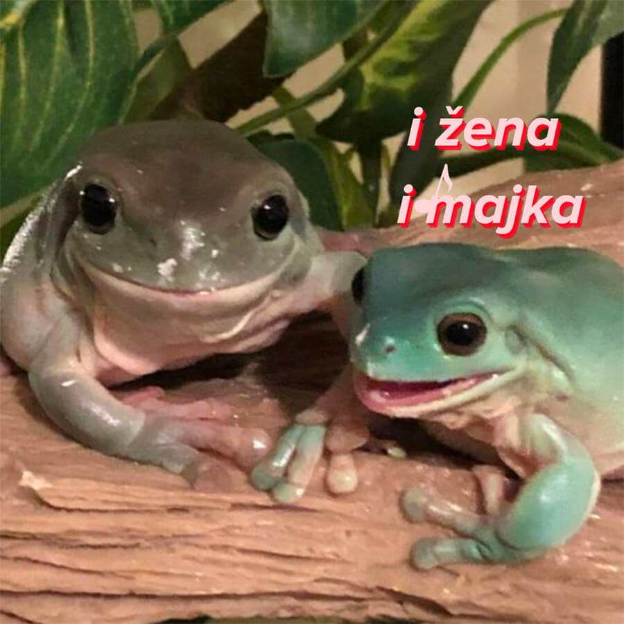 Zašto žene lažiraju orgazam? - Oblakoder
