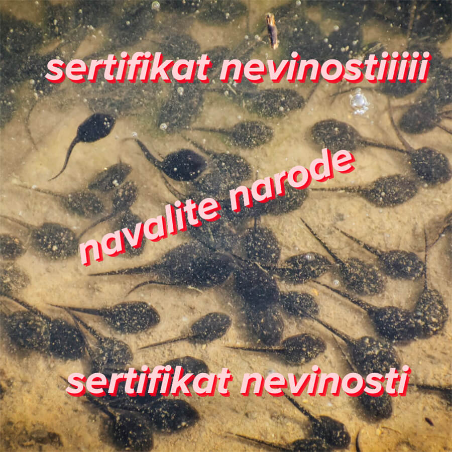 Zašto žene lažiraju orgazam? - Oblakoder