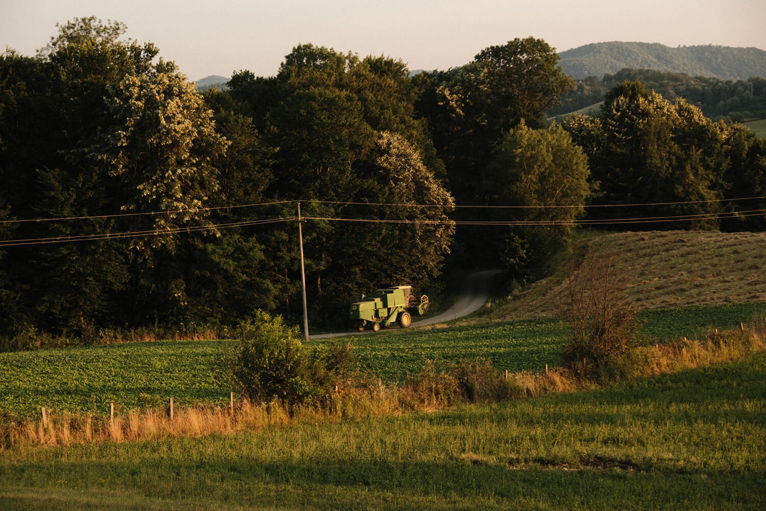 Polja festival - miks tradicionalnog i modernog - Oblakoder